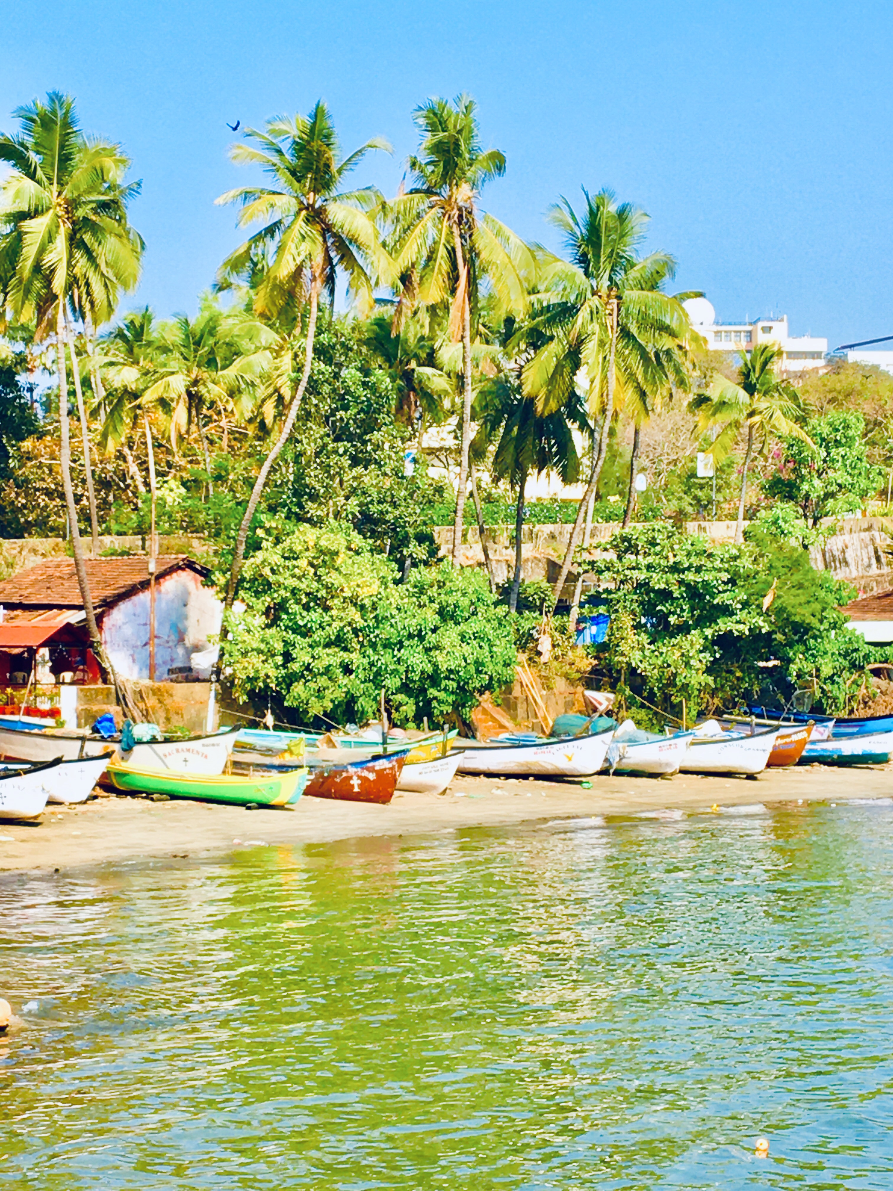 GOA Revisited – Anita Bacha