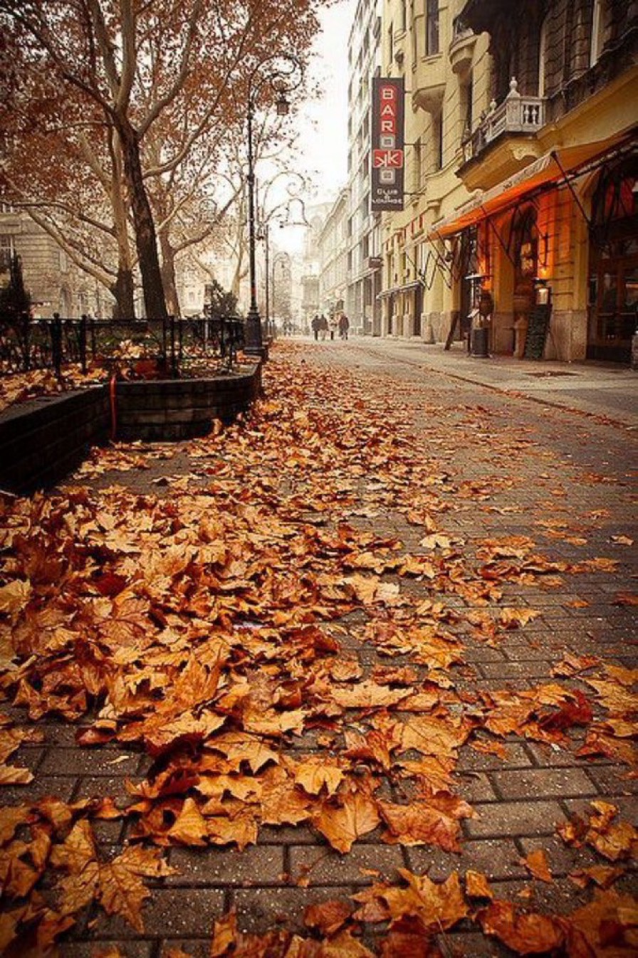 Colors of Autumn – Haiku Poems by Anita Bacha – Anita Bacha
