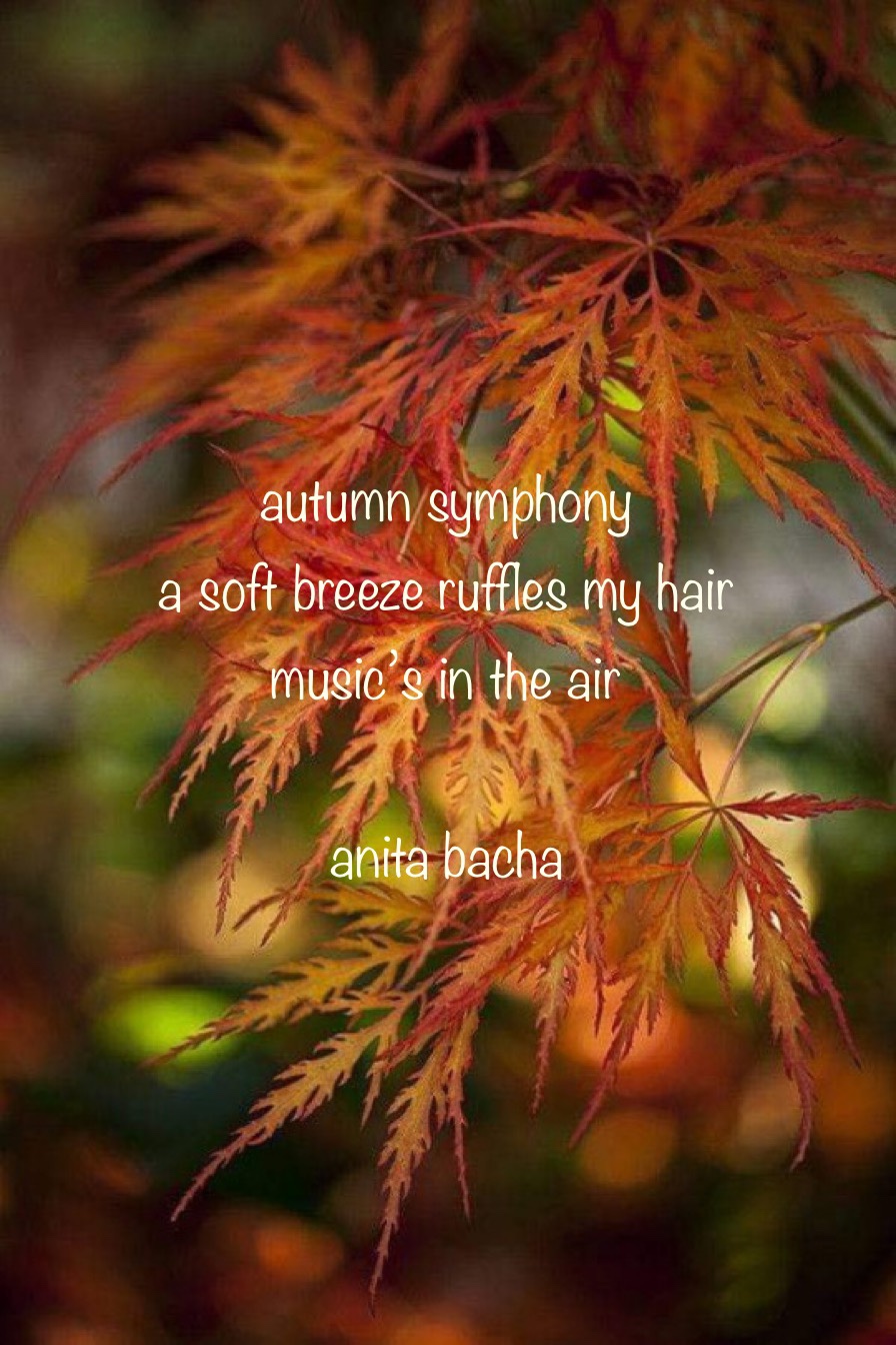 Autumn Symphony – A Haiku Poem by Anita Bacha – Anita Bacha