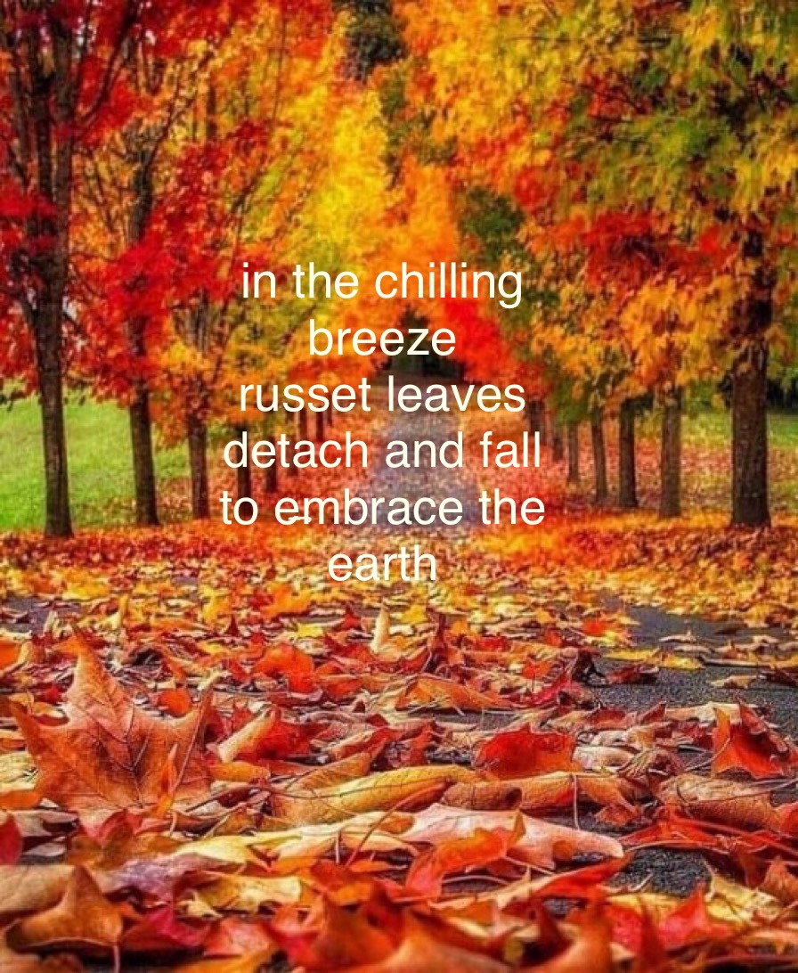Russet Leaves – Haiku- A Poem by Anita Bacha – Anita Bacha