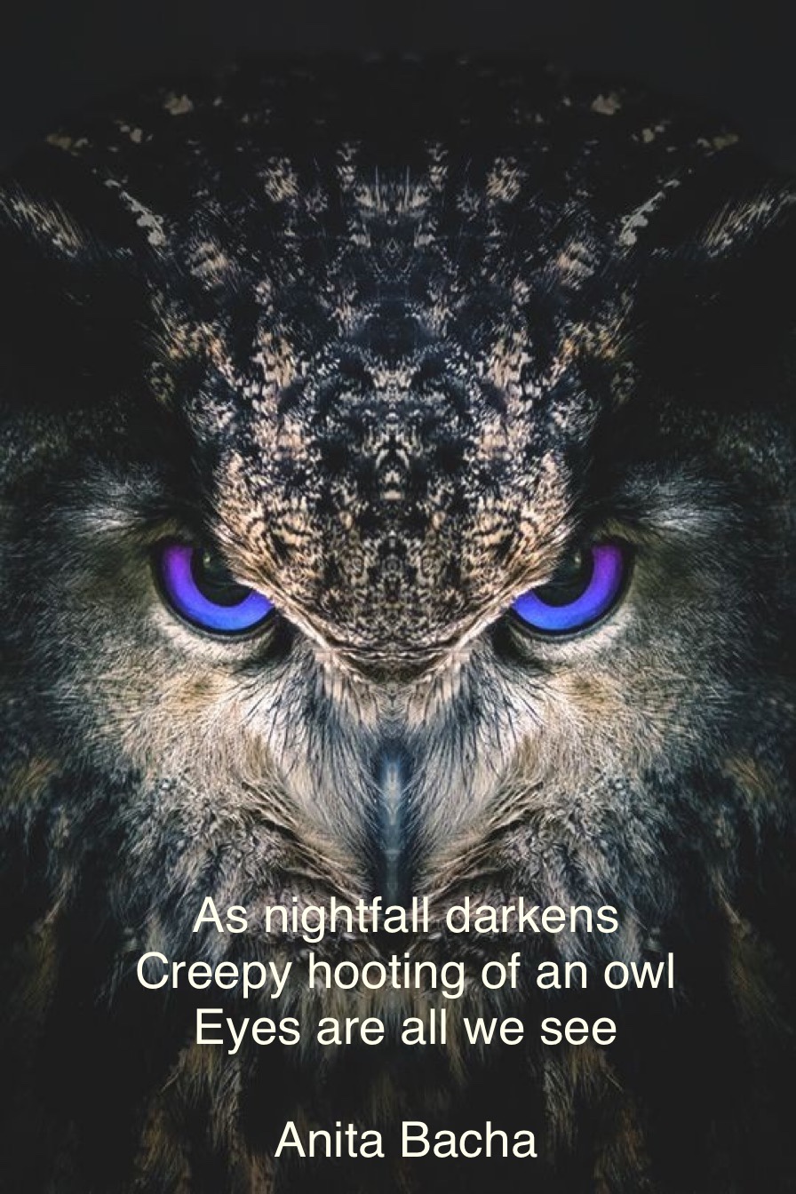 Nightfall – A Haiku Poem by Anita Bacha – Anita Bacha