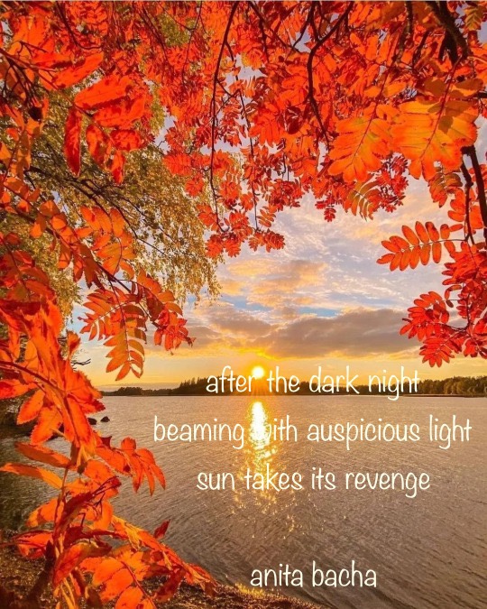 Sun beaming with light – A haiku poem by Anita Bacha – Anita Bacha