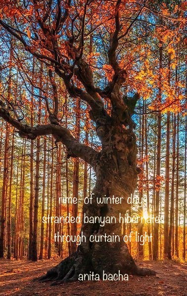 Rime of Winter days – A haiku poem by Anita Bacha – Anita Bacha