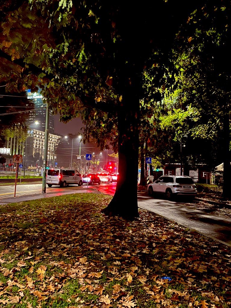 Mid-November- A haiku poem by Anita Bacha – Anita Bacha