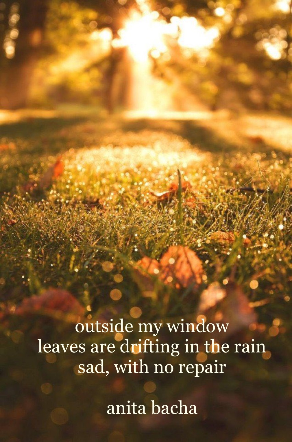 Outside my window – A haiku poem by Anita Bacha – Anita Bacha