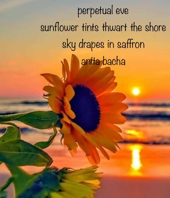Saffron Sky – A Haiku by Anita Bacha – Anita Bacha