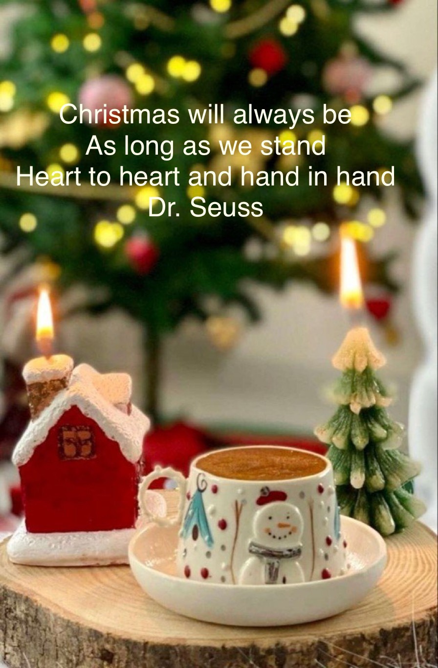 Today’s Quote – Christmas by Dr.Seuss – Anita Bacha