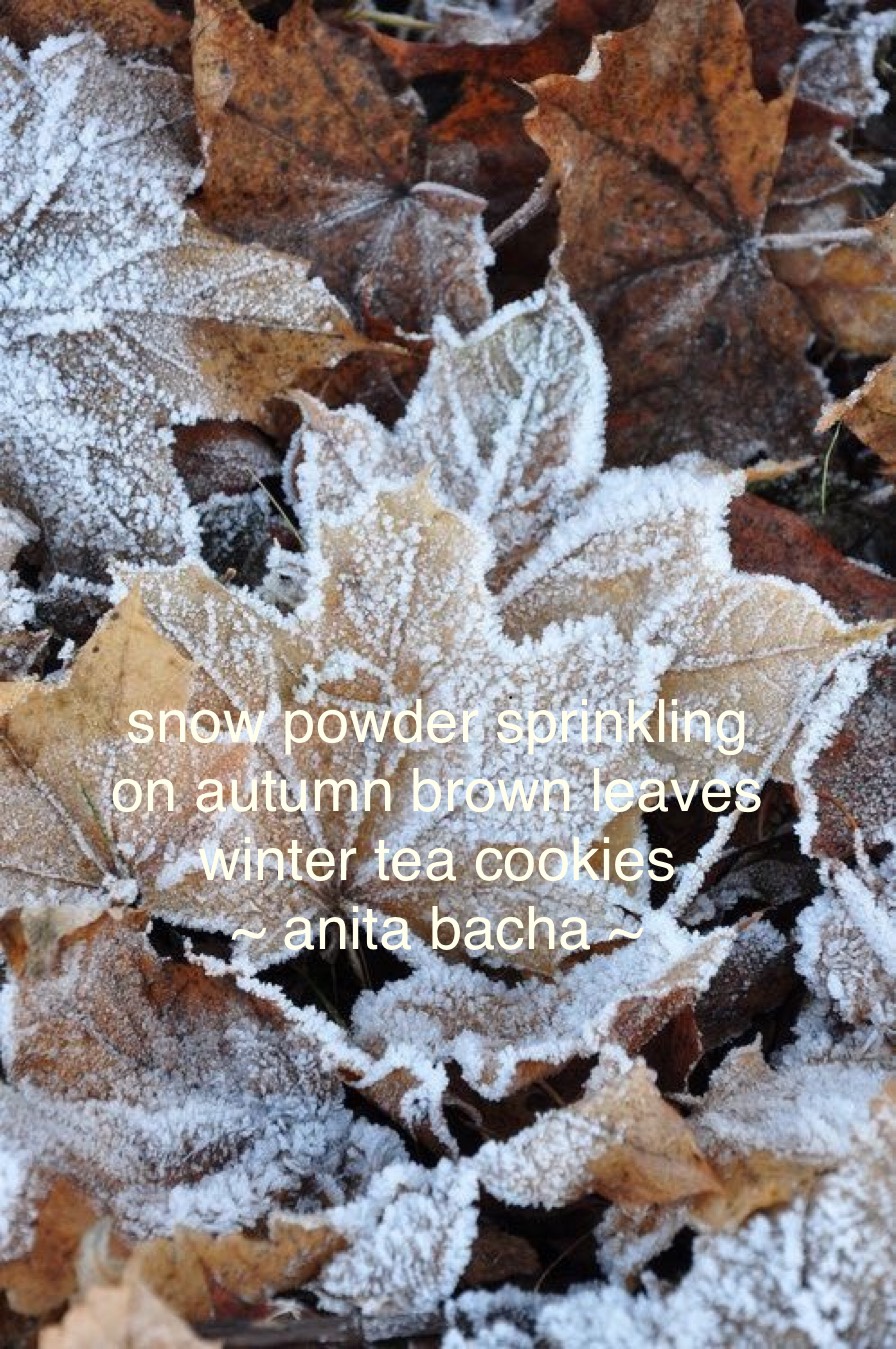 Snow Powder – Haiku – A Poem by Anita Bacha – Anita Bacha