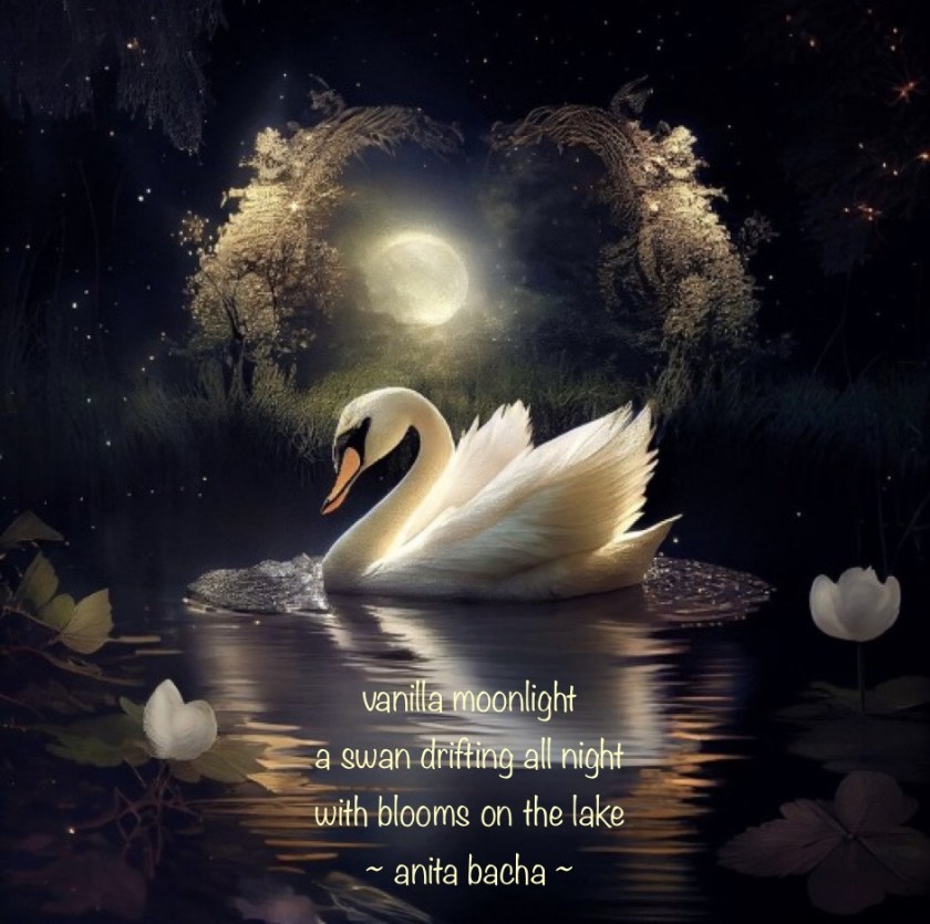 Vanilla Moonlight – Haiku – A Poem by Anita Bacha – Anita Bacha