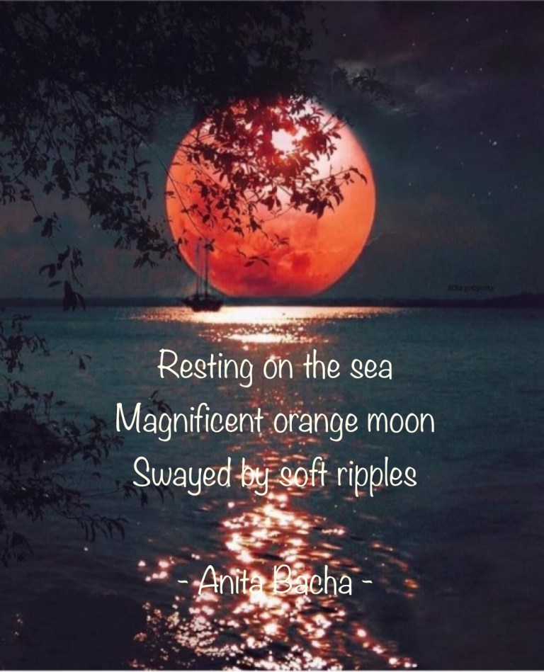 Magnificent Orange Moon – Haiku – A Poem by Anita Bacha – Anita Bacha