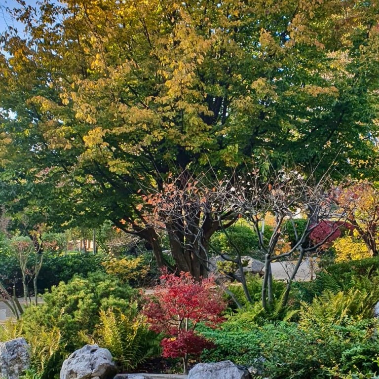 Leaves – Haikus – Poems by Anita Bacha – Anita Bacha